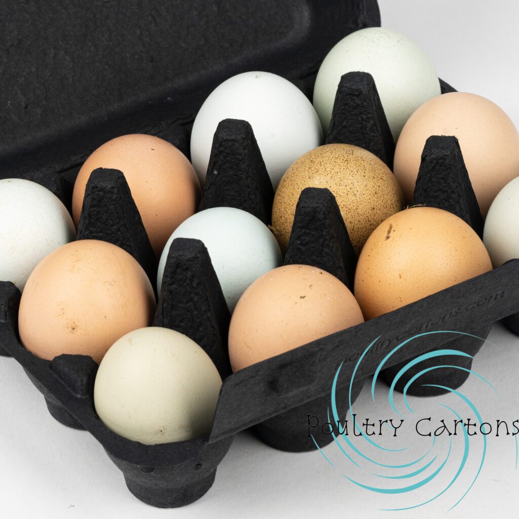 One of the million dollar questions: Do colored eggs taste different ...