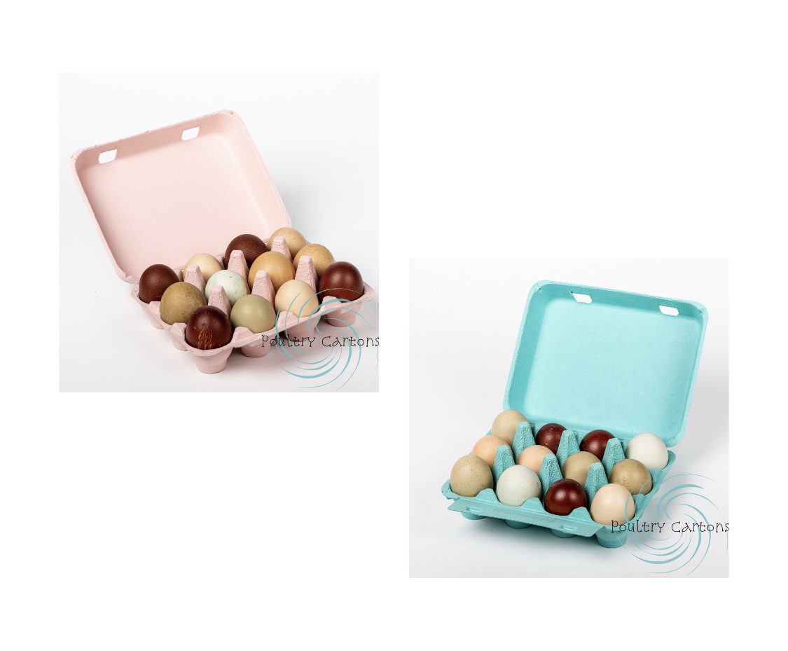 Cotton Candy Colored Egg Cartons | Poultry Cartons
