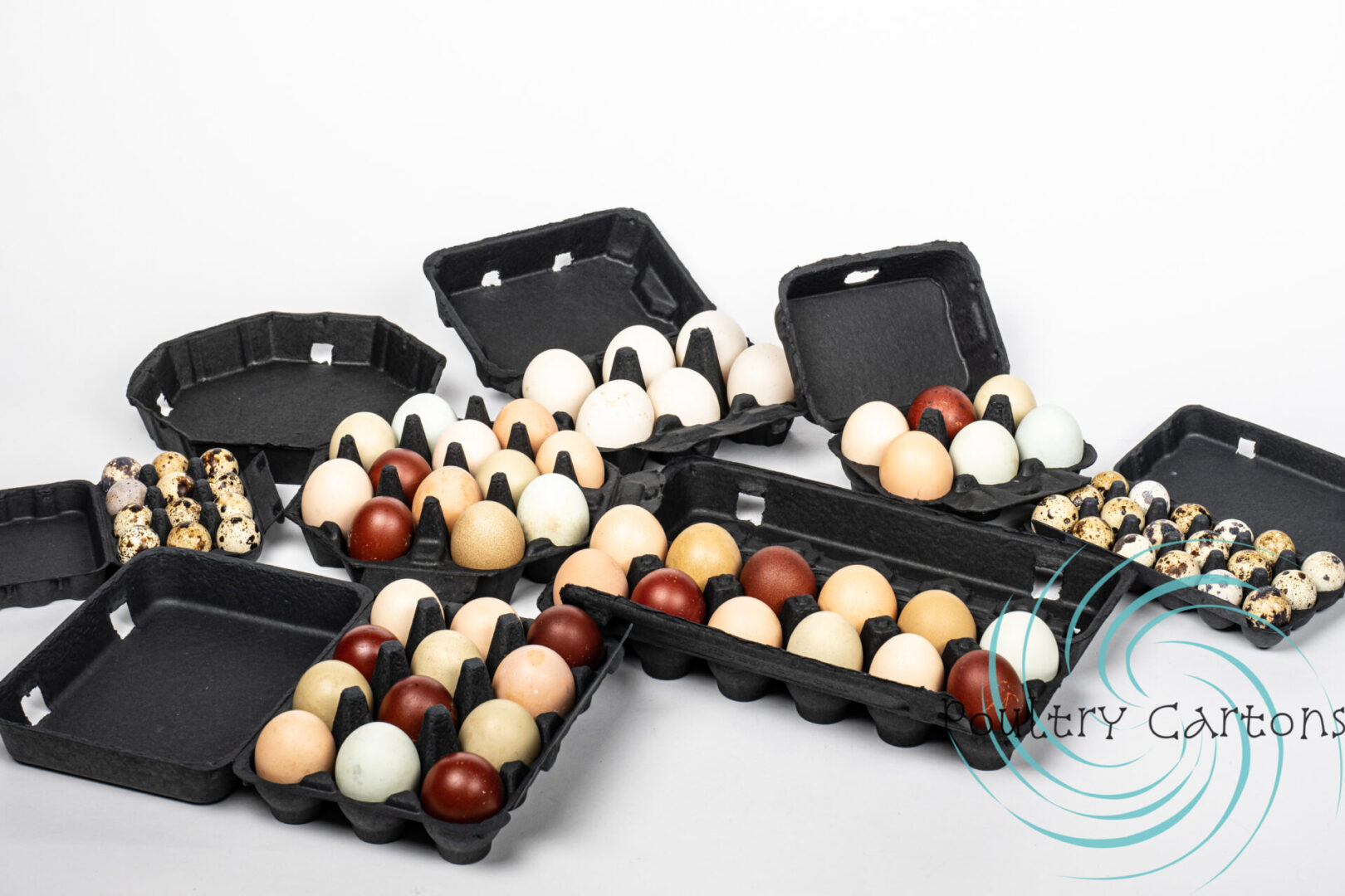 Choosing the Perfect Egg Carton for Your Farm: Size Matters - Poultry ...