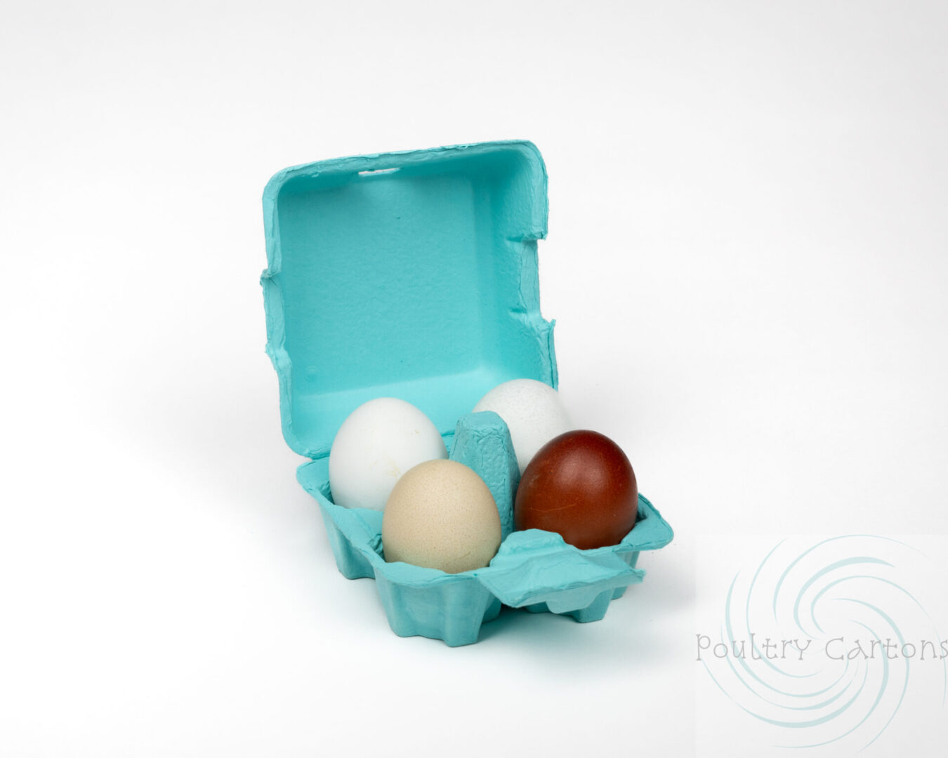 Turquoise 4 Egg Cartons | Poultry Cartons