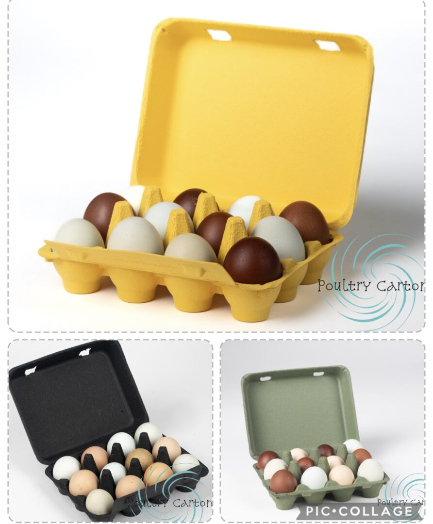 Sunflower Square Egg Cartons | Poultry Cartons