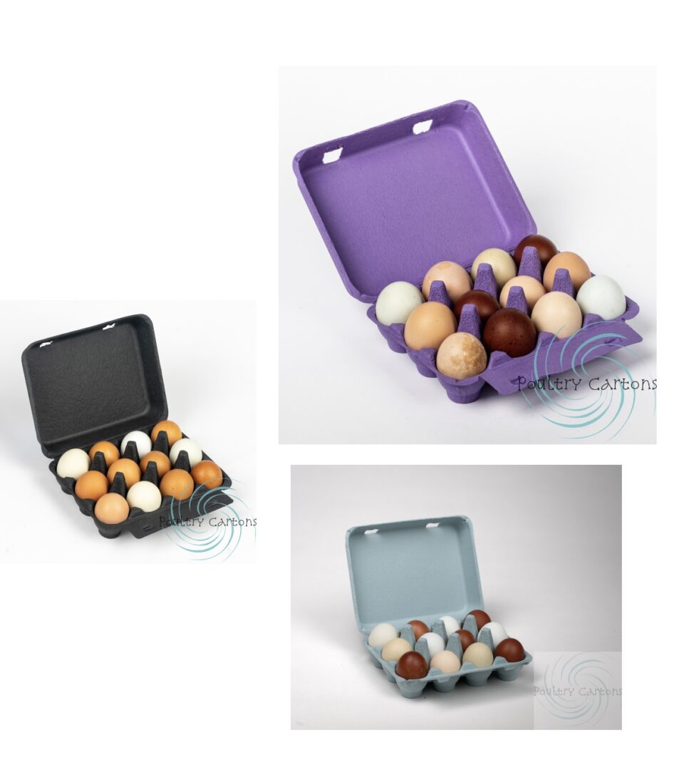 Midnights Square Egg Cartons | Poultry Cartons