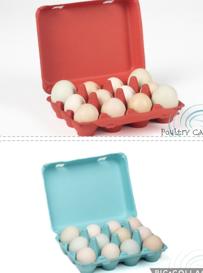 Thing 1 and Thing 2 Bantam Egg Cartons | Poultry Cartons