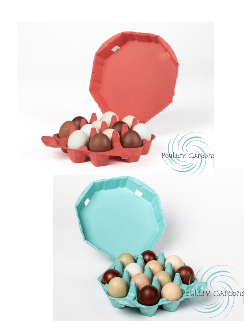 Thing 1 and Thing 2 Octagon Egg Cartons | Poultry Cartons