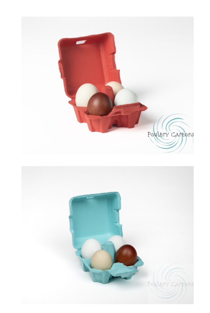 Thing 1 and Thing 2 4 Egg Cartons | Poultry Cartons