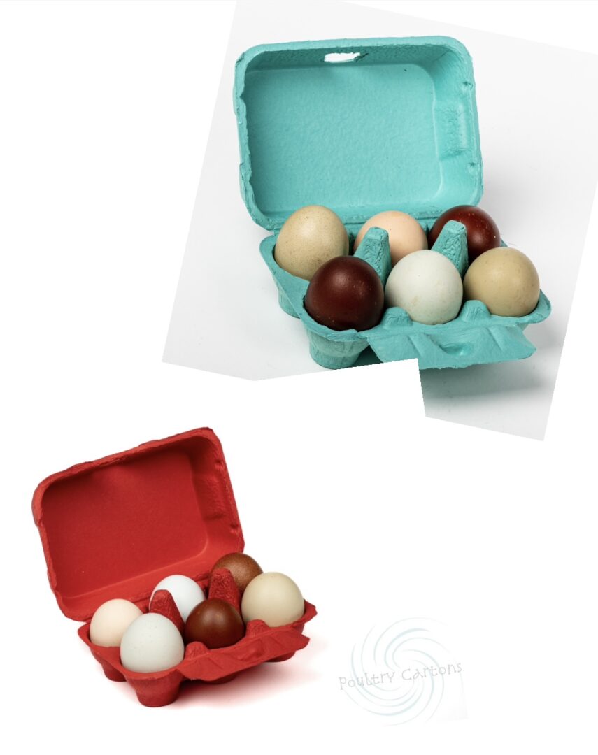 Thing 1 and Thing 2 6 Egg Cartons | Poultry Cartons